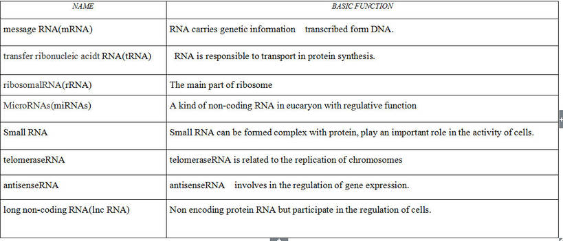 RNA类：RNA的分类|CD基因组学博客 - 欧宝娱乐官方网站